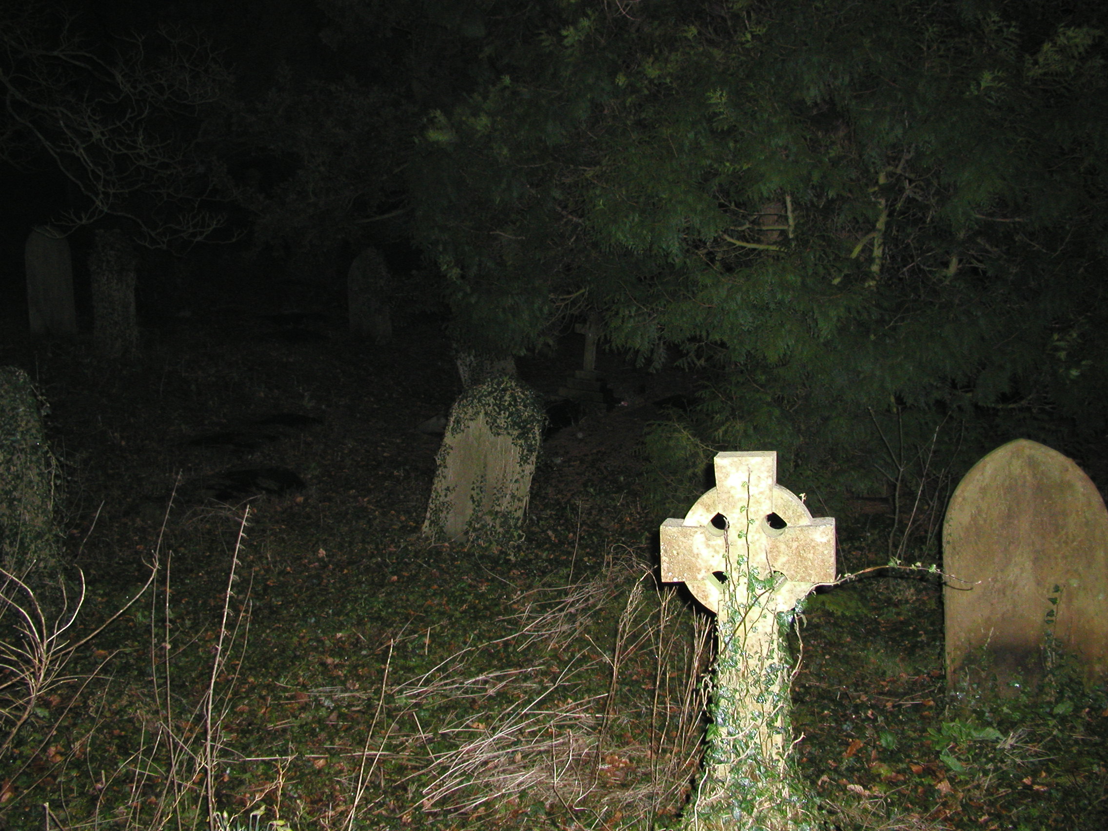 Development Systems UK